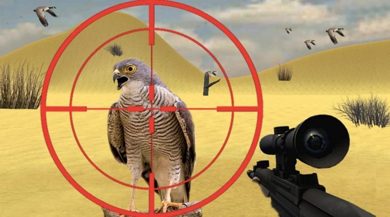 10 Best Hunting Games For PC