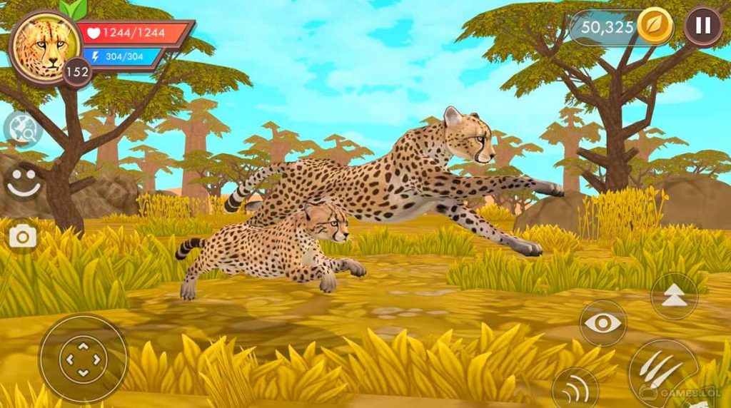 Cheetah Animal Games