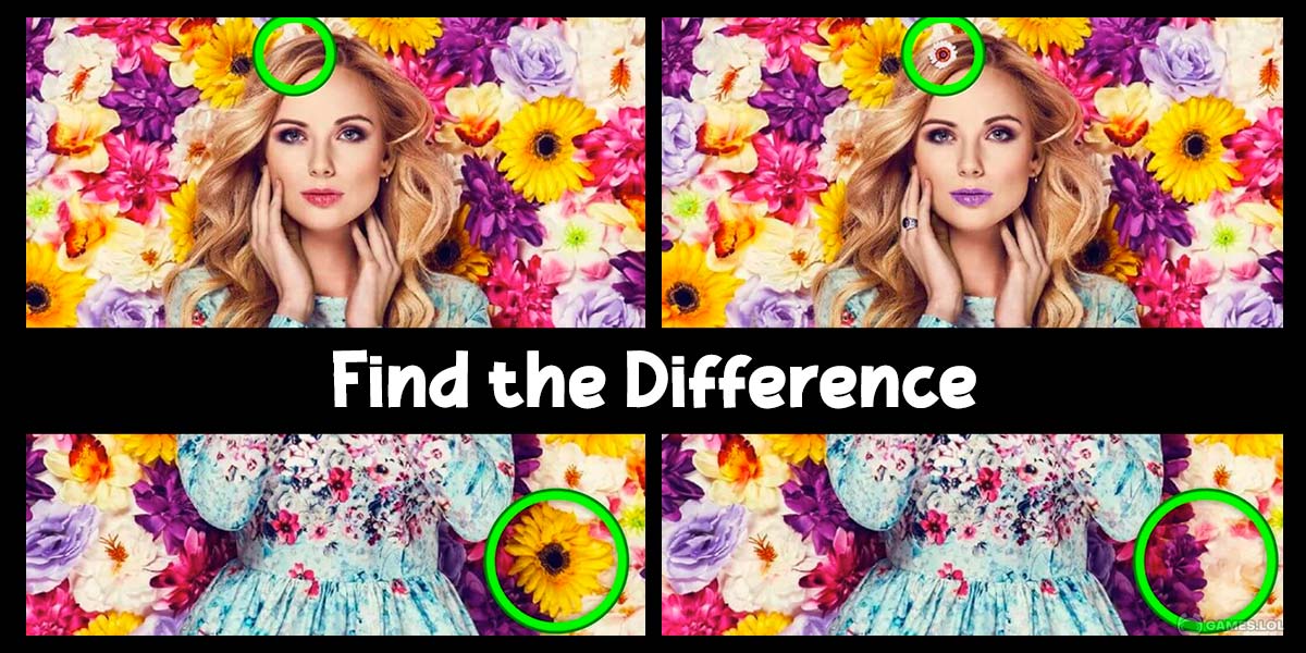 Play Find the Difference Pictures on PC - Games.lol